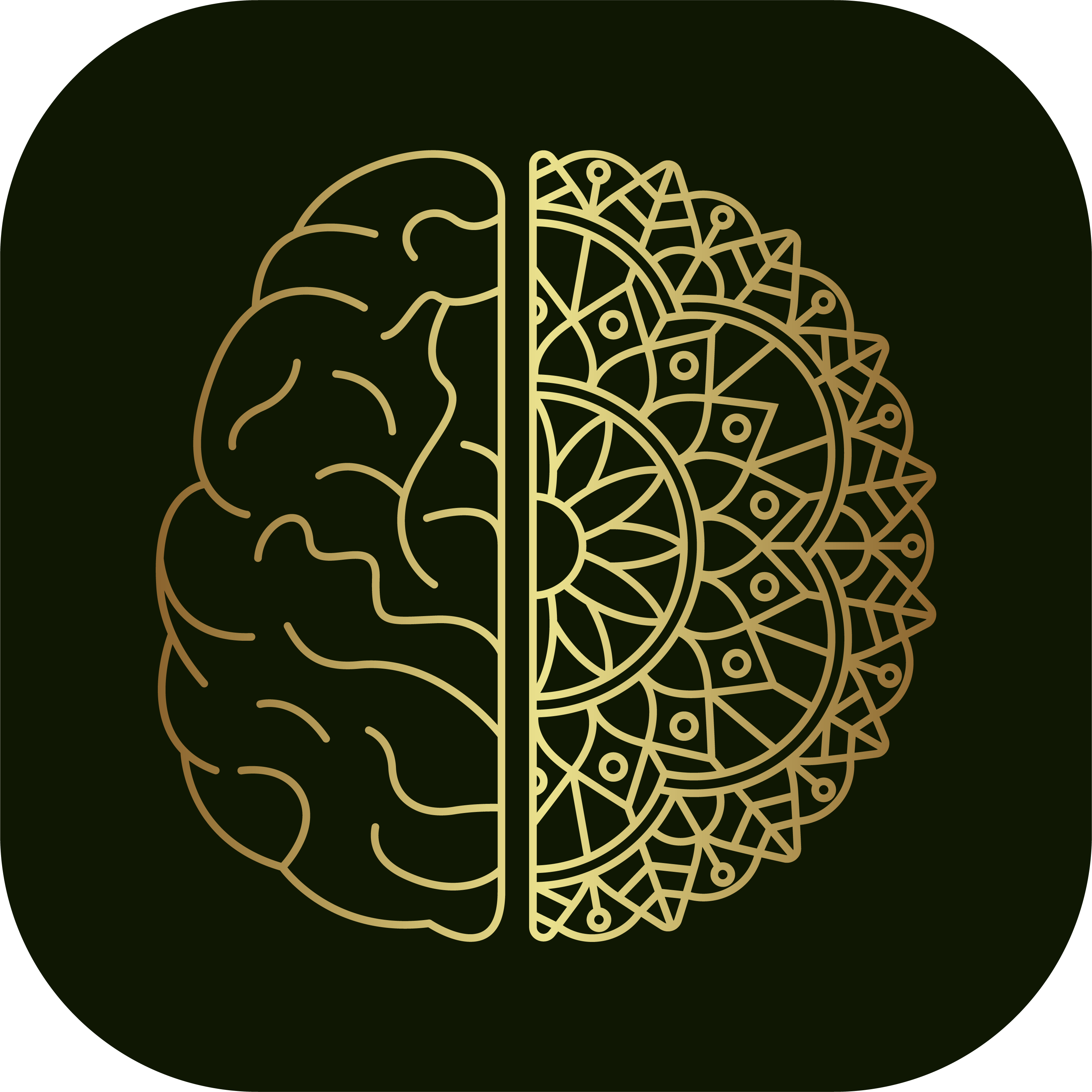 Our Community – Mindful Brain Lab